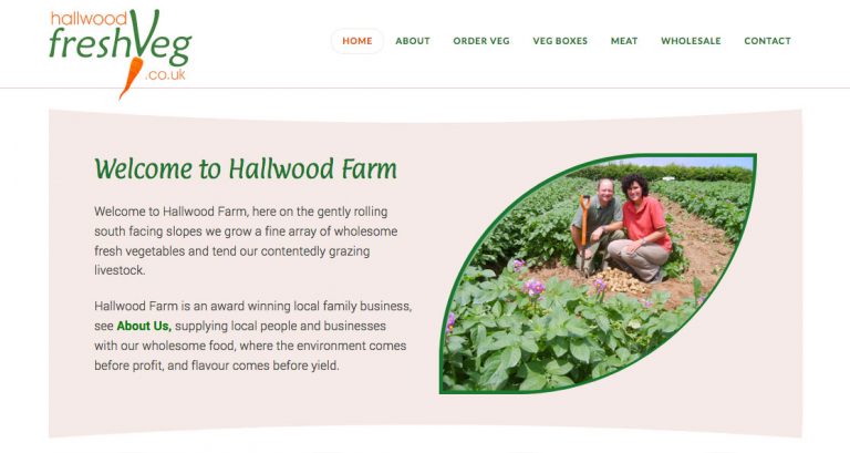 Hallwood Website - Online Marketing, Web Design, Printing, Devon